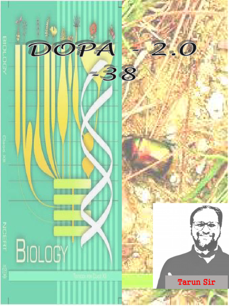 Dopa - 2.0 - 38 | PDF