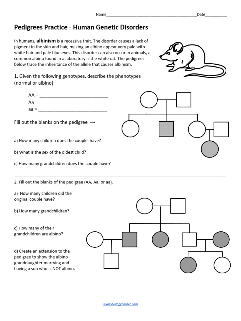 Pedigree Analysis of Genetic Disorders | PDF