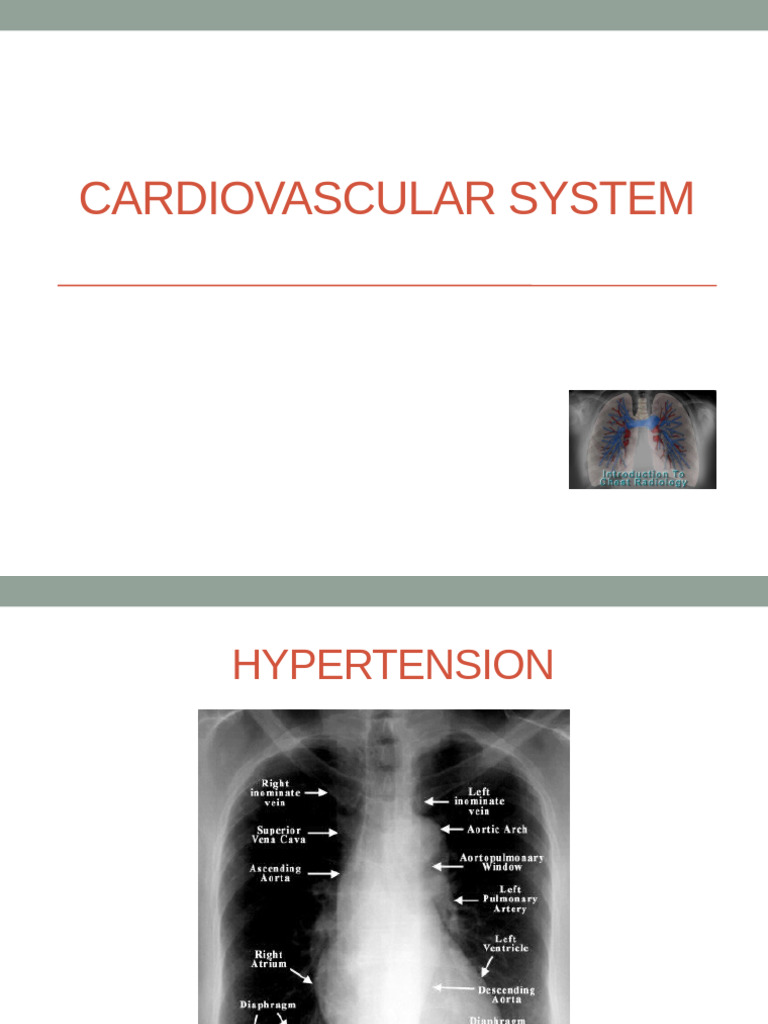 Cardiovascular System | PDF | Heart | Clinical Medicine