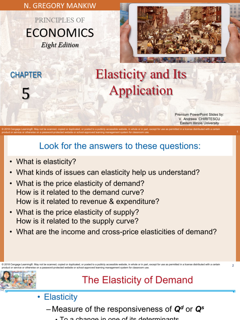 Chapter 5 Elasticity and Its Application | PDF | Elasticity (Economics) | Demand