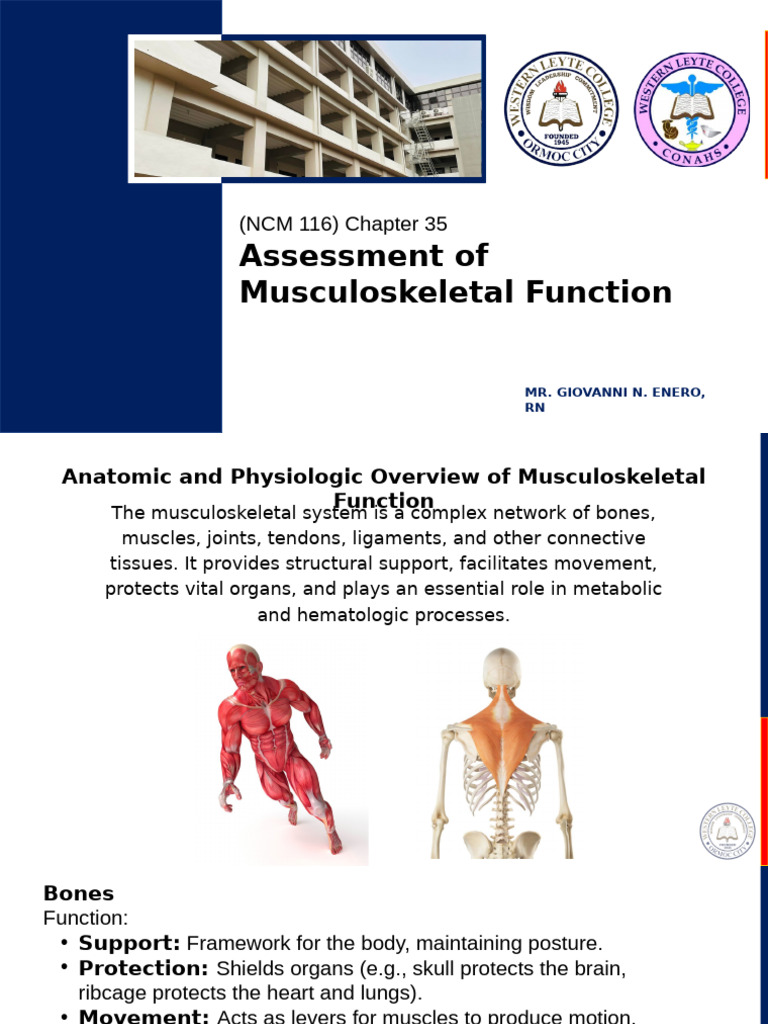 Chapter 35 Assessment of Musculoskeletal Function | PDF | Bone | Muscle ...