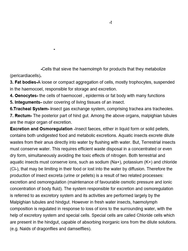 Insect Excretory System Overview | PDF | Excretion | Chloride