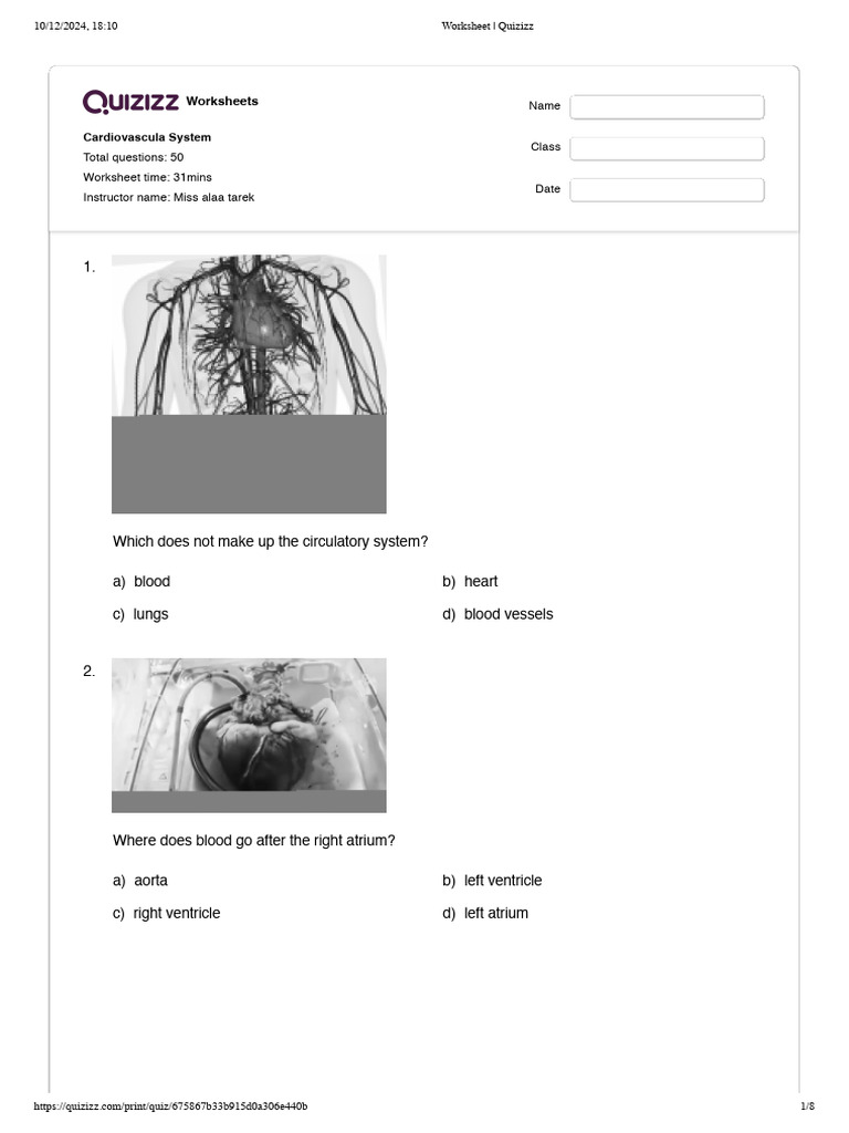 Cardiovascular System Pdf Heart Valve Heart