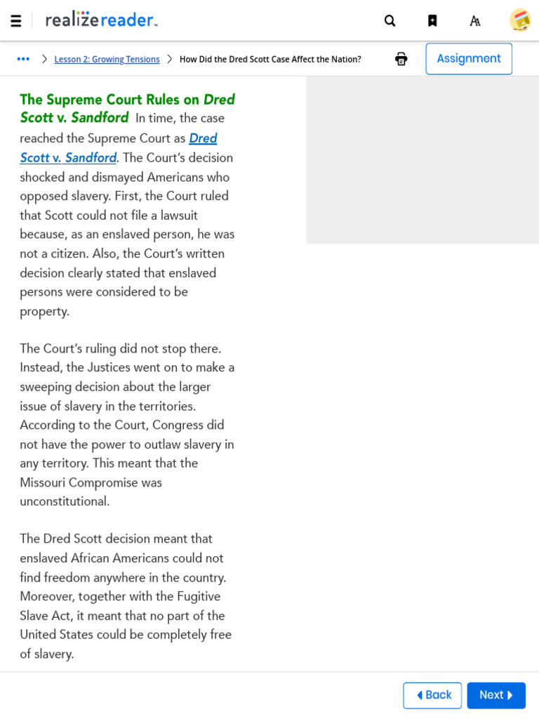 Realize Reader | PDF