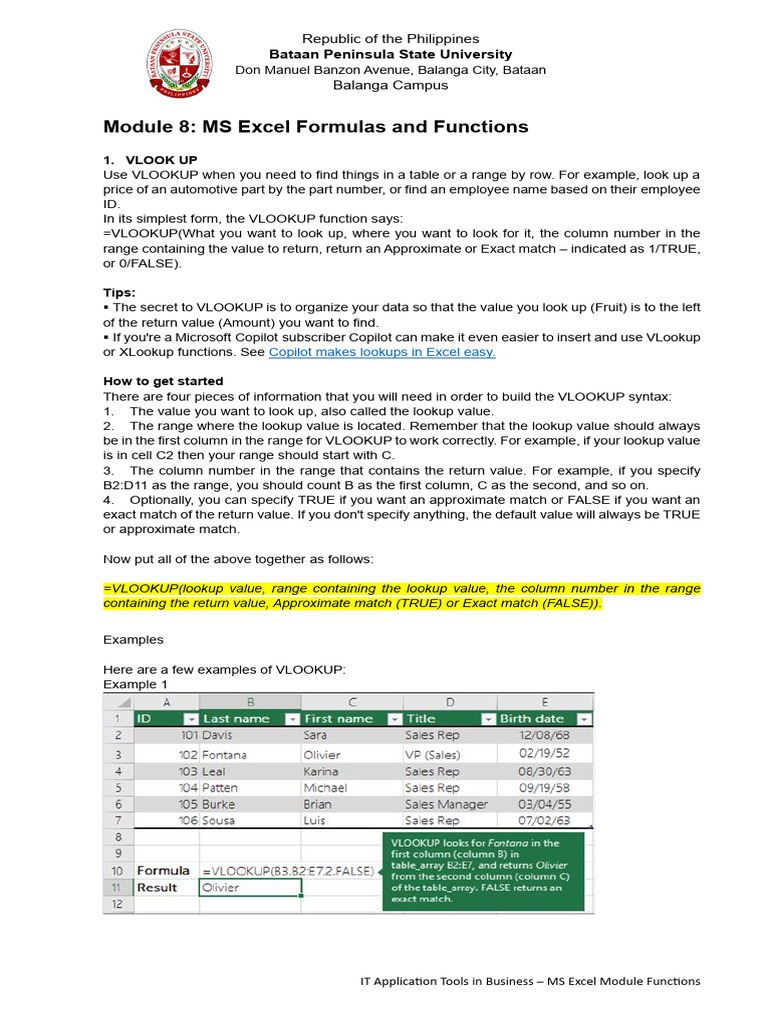 Module 8 Ms Excel Functions Pdf Microsoft Excel Computer Programming 