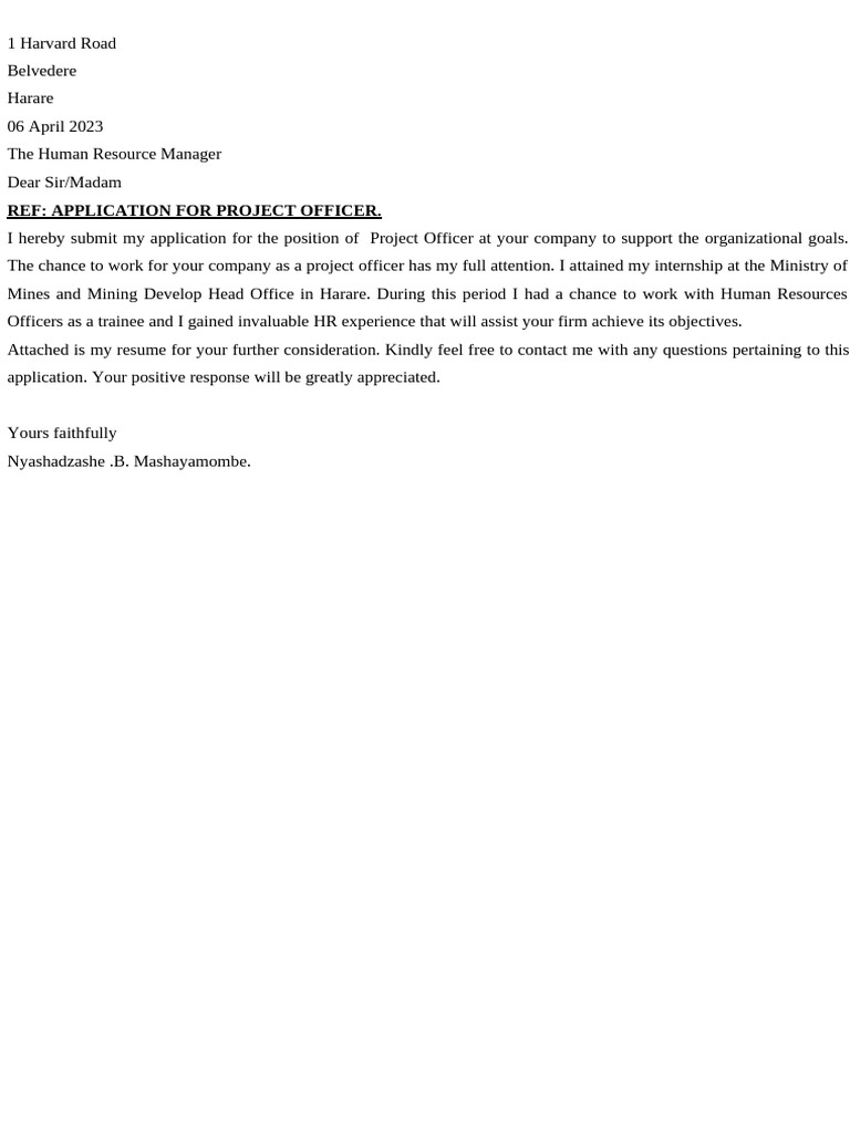 nyasha mashayamombe cv | PDF | Business