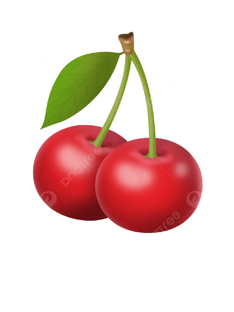 Cherry | PDF