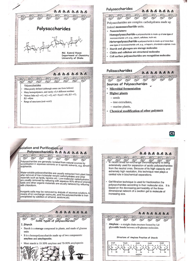 Polysaccharides (1) | PDF