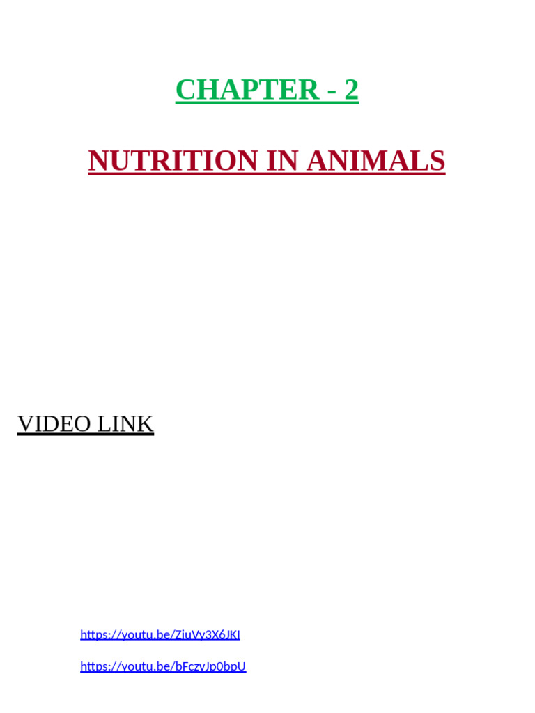 Animal Nutrition and Digestion Explained | PDF | Digestion | Mouth