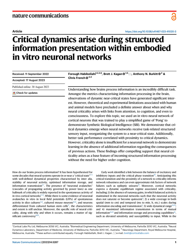 Critical Dynamics Arise During Structured Information Presentation Within Embodied in Vitro ...