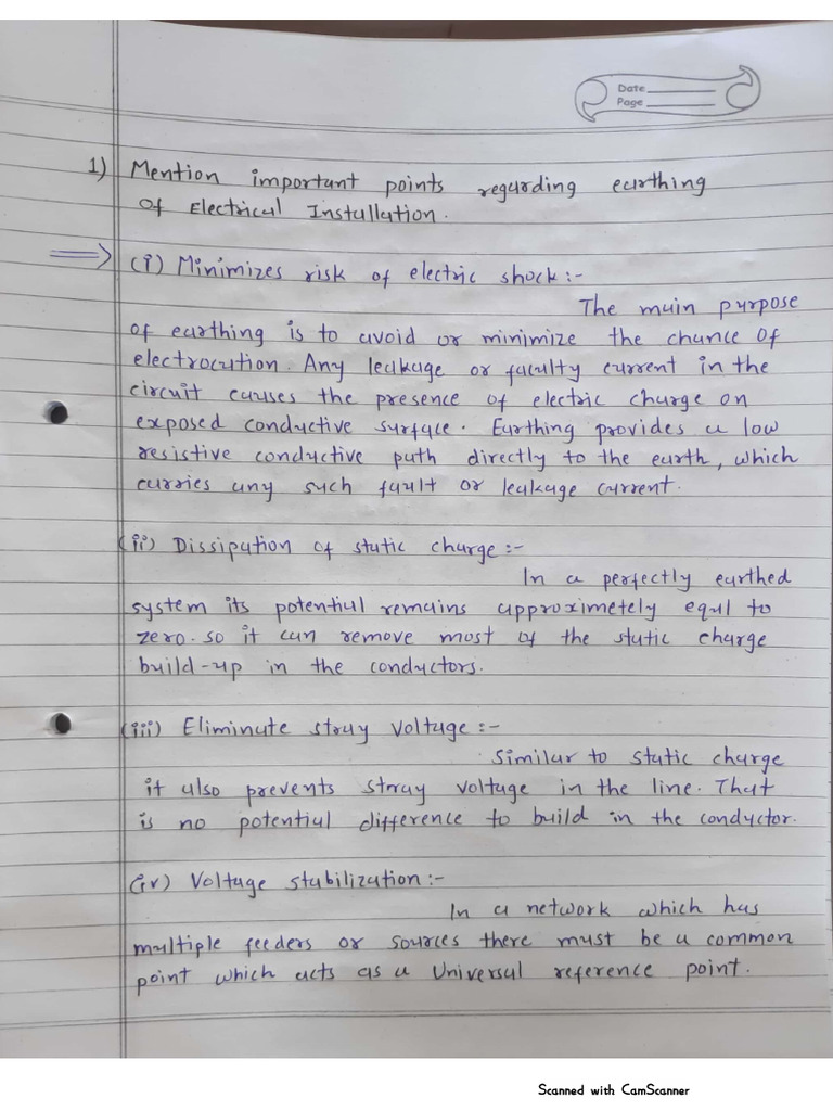 Bee Assignment | PDF