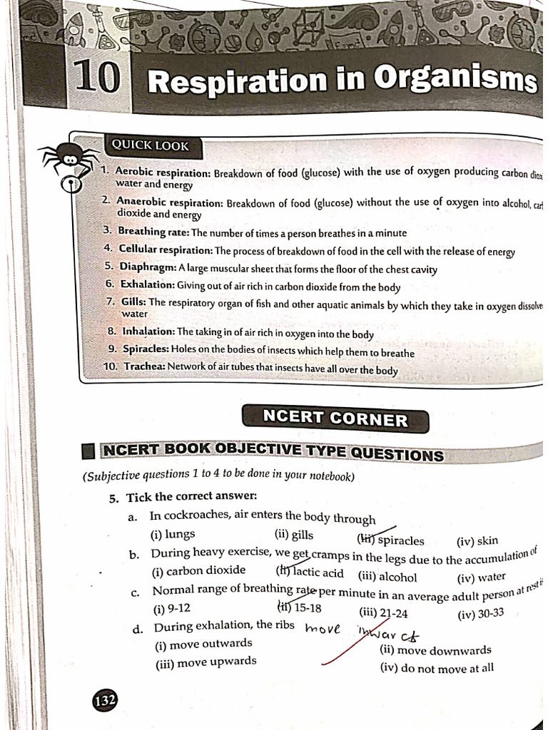 CH 6,12 Workbook Work | PDF