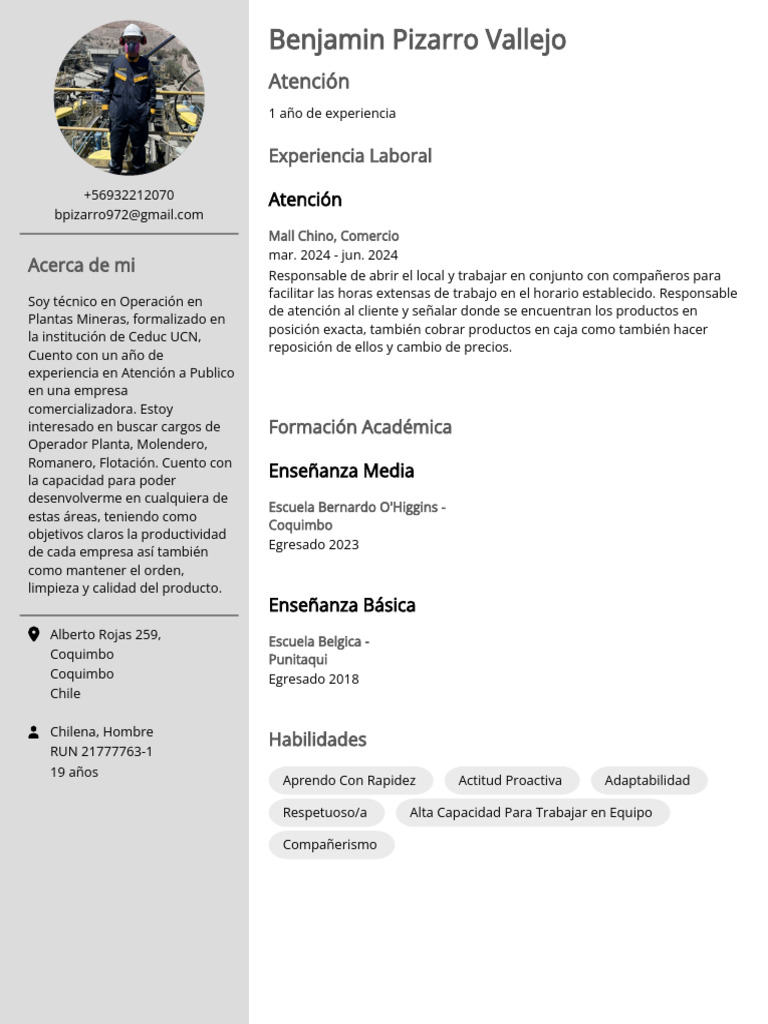 CV Benjamin 2024 | PDF