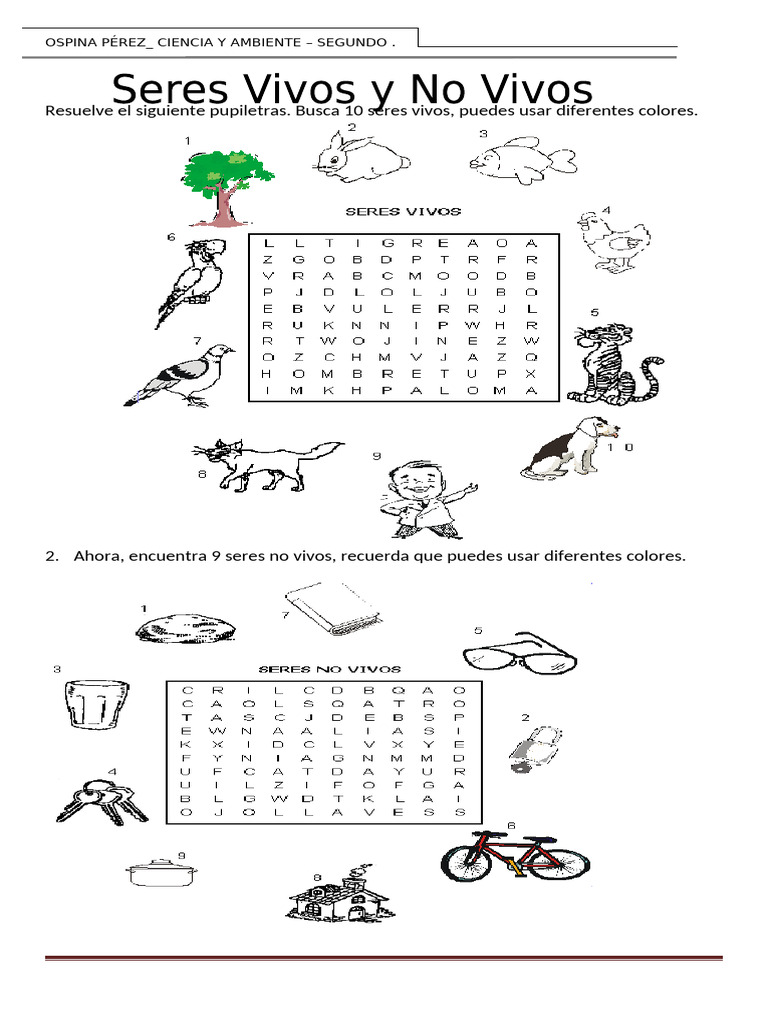 Los Seres Vivos y Sus Caracteristicas | PDF | Naturaleza | Biología