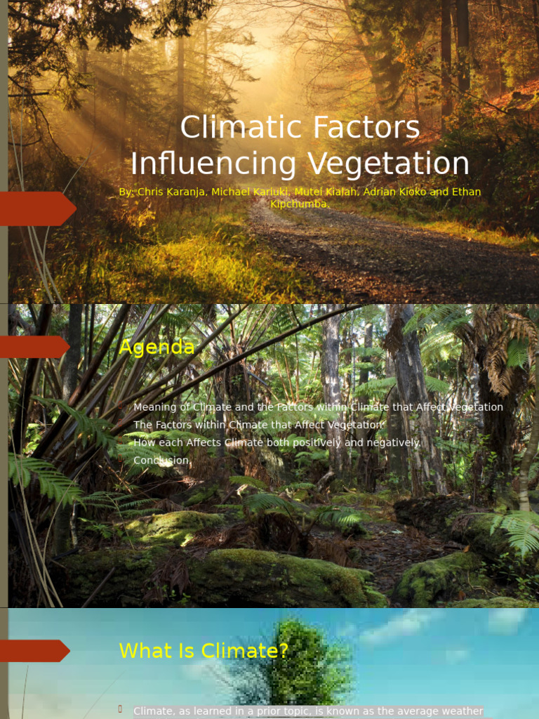 cLIMATE (1) | PDF | Plants | Precipitation