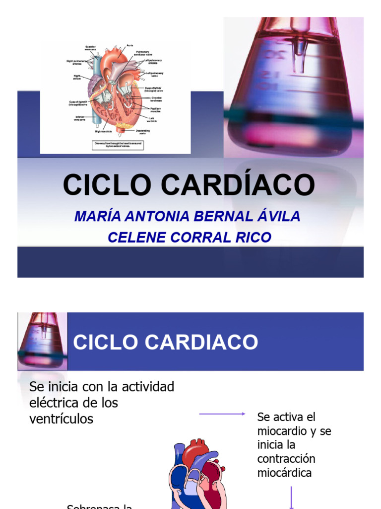 Ciclo Cardíaco y Ruidos Cardíacos | PDF | Corazón | Ventrículo (corazón)