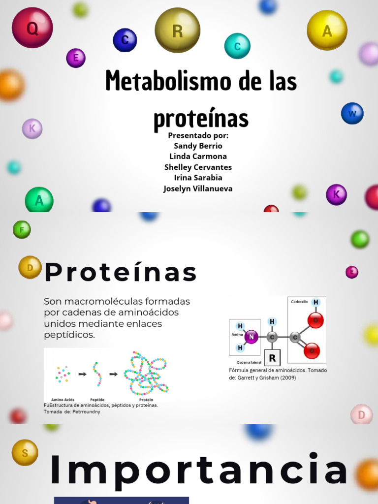Metabolismo de Las Proteínas | PDF | Proteólisis | Transaminasa