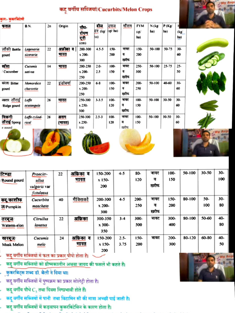 Cucurbitacea Crops.. Cultivation | PDF