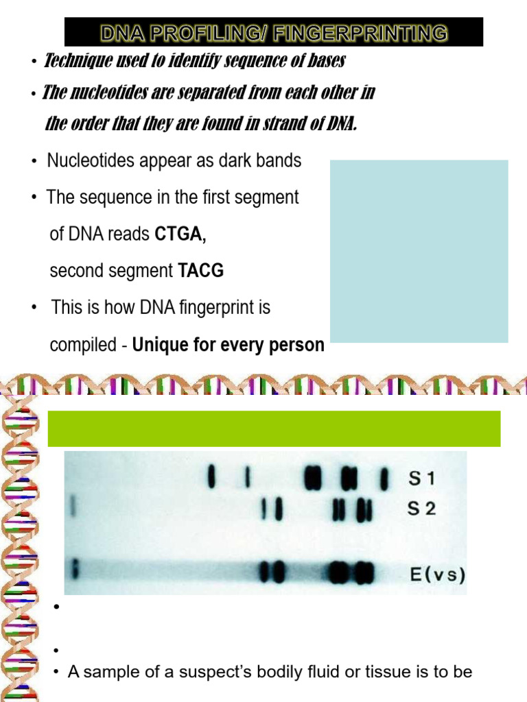 DNA Fingerprinting | PDF