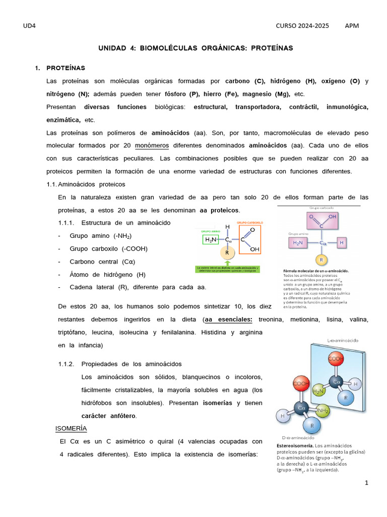 UD4. Proteínas | PDF | Estructura proteica | Enzima