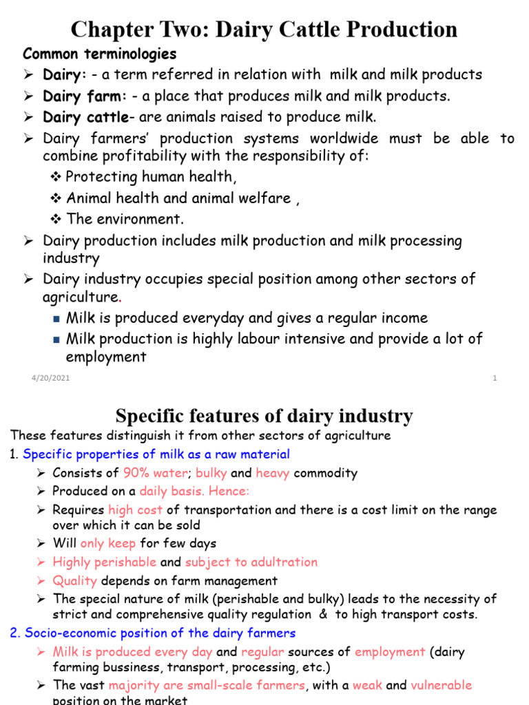 Dairy Cattle Production Overview | PDF | Ruminant | Dairy Cattle