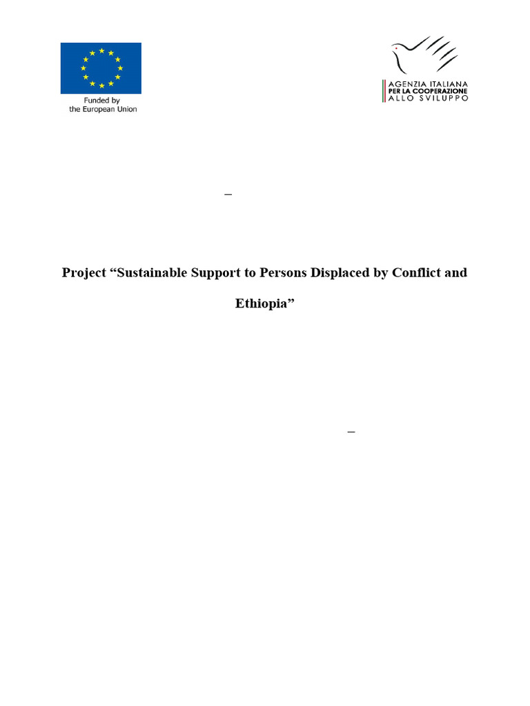 Grant Guidelines for Ethiopian IDP Support | PDF | Wash | Internally Displaced Person
