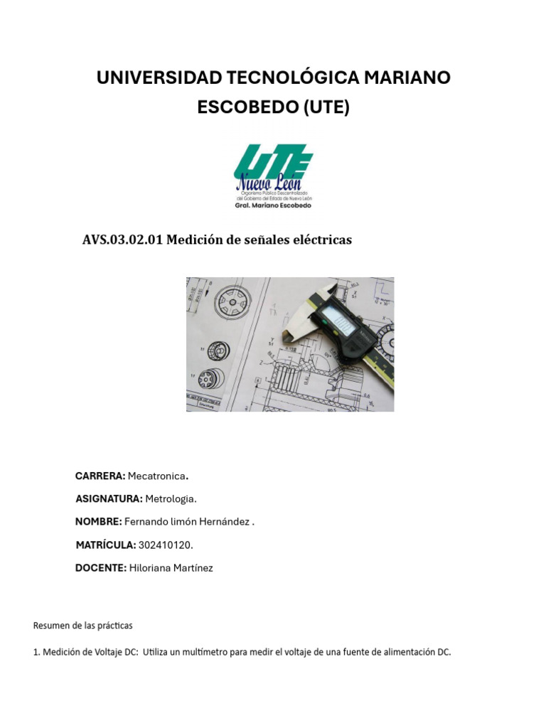 AVS.03.02.01 - Fernando Limon HDZ | PDF | voltaje | Red eléctrica