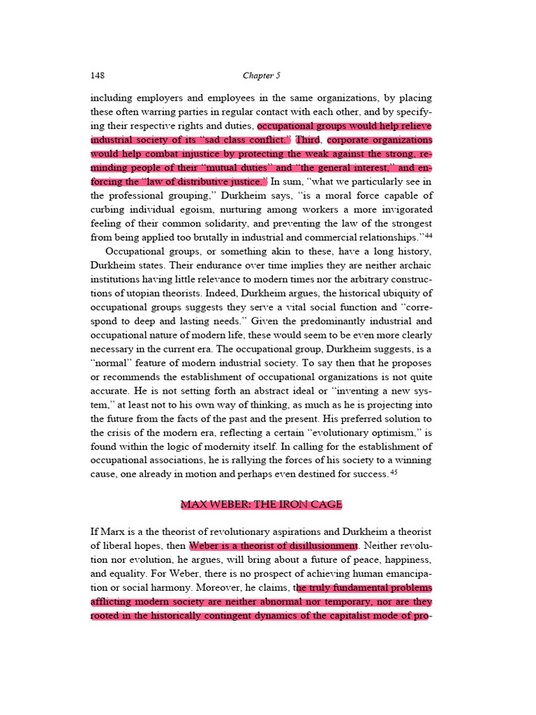 Weber's Iron Cage of Modernity | PDF | Rationality | Max Weber