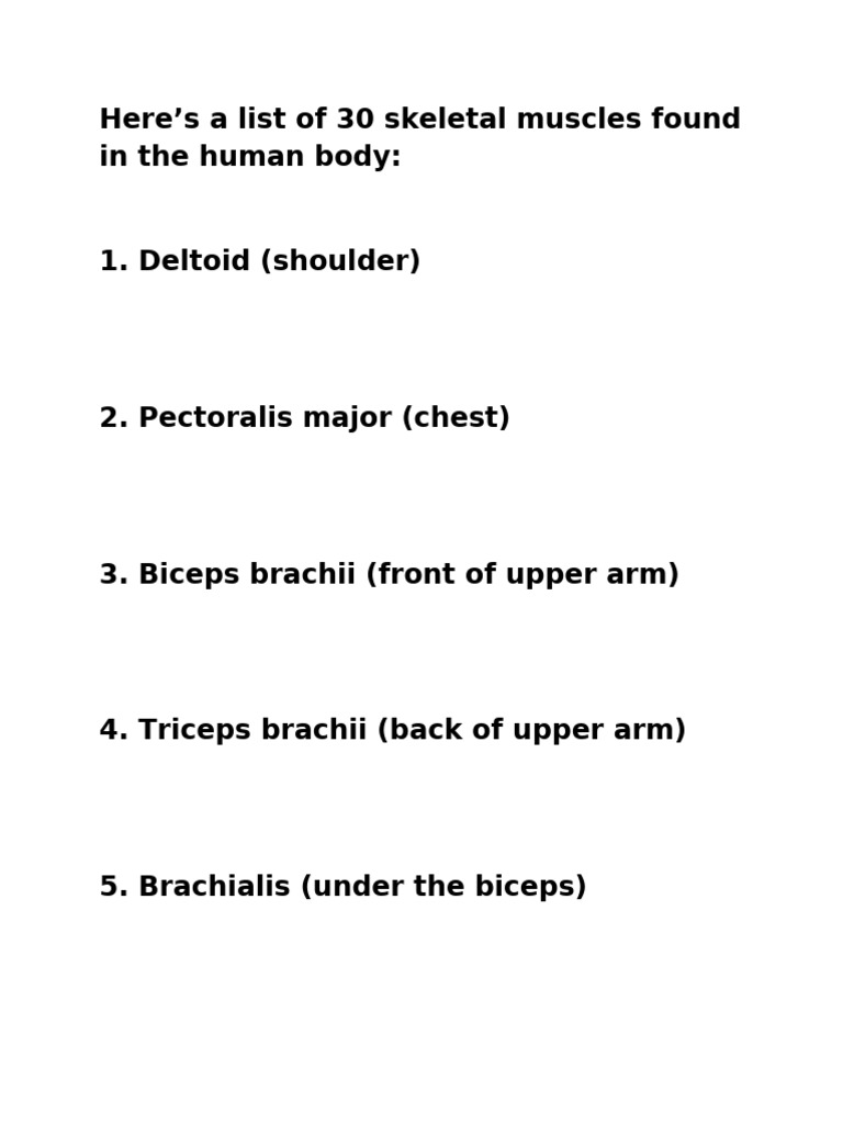 30 Muscles in The Body | PDF