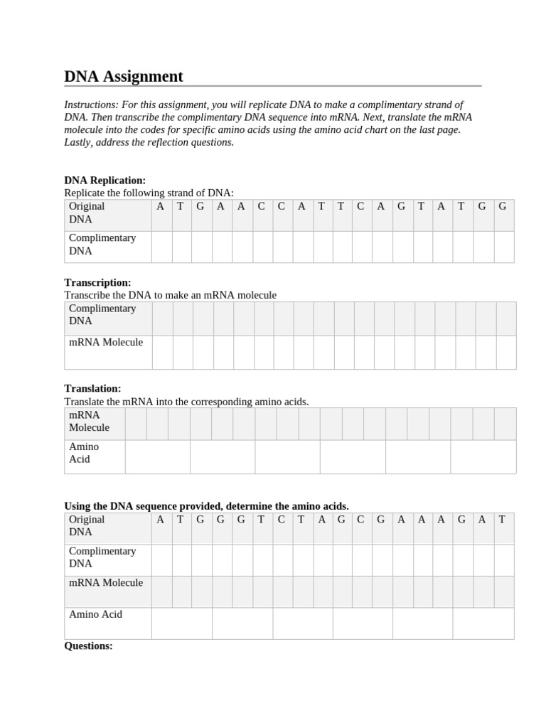 03 05 Transcription and Translation Assignment | PDF