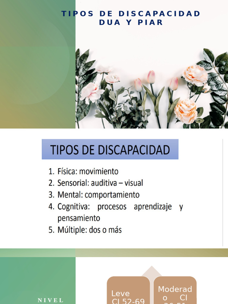 Tipos de Discapacidad y Estrategias Educativas | PDF