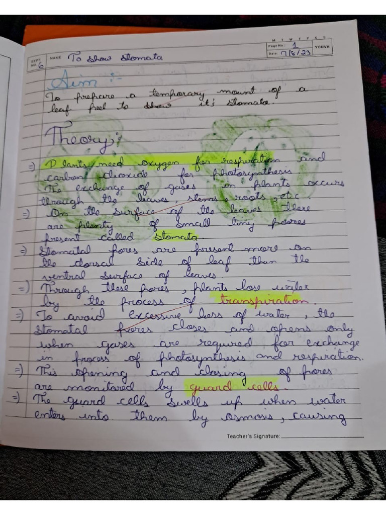 Biology Lab Manual Pdf 4931