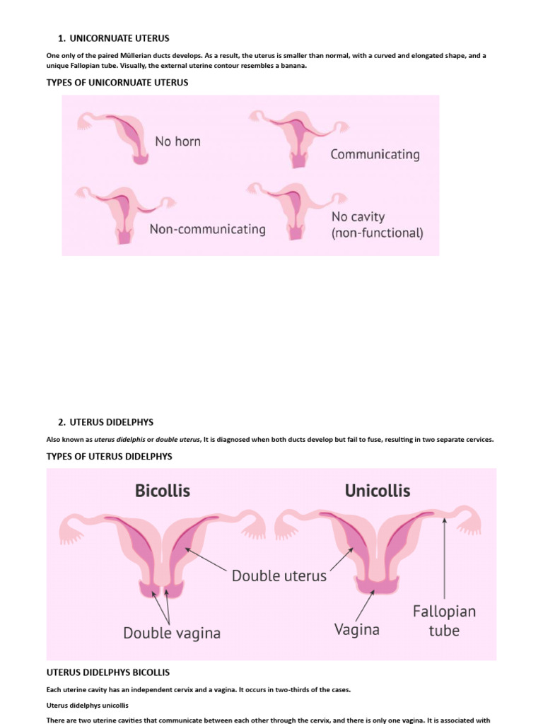 Reproductive Health Update | PDF | Uterus | Female Mammals