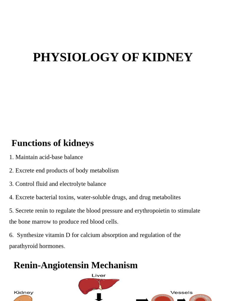 Kidney Physiology and Homeostasis Functions | PDF | Angiotensin ...