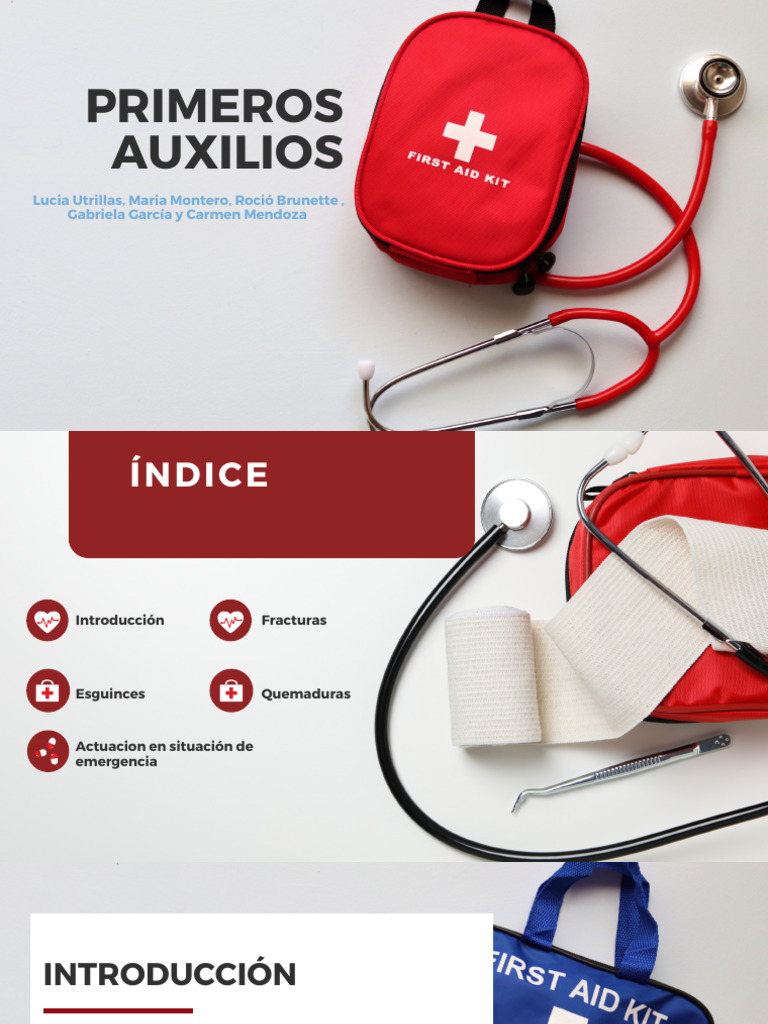 Guía Básica de Primeros Auxilios | PDF | Legumbres | Quemar