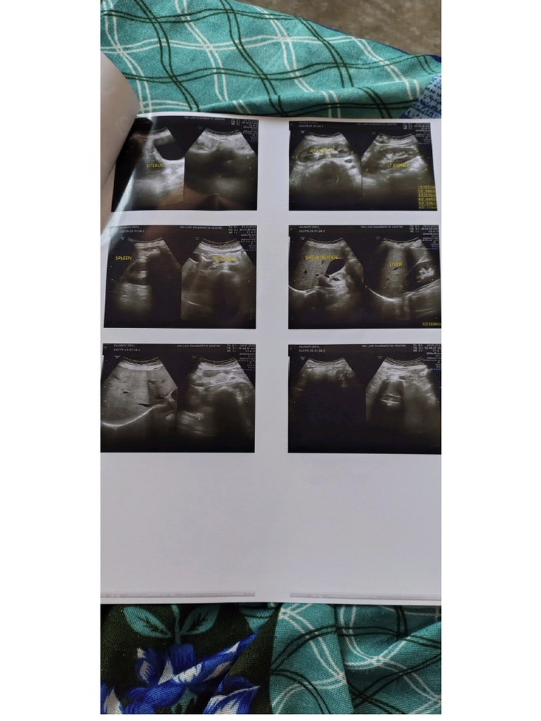 PDFGallery 20250126 225707 | PDF