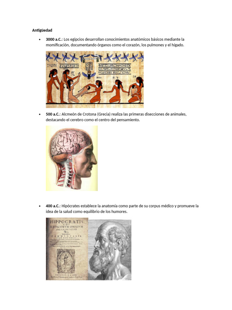 Historia De La Anatomia Pdf Anatomía Fisiología
