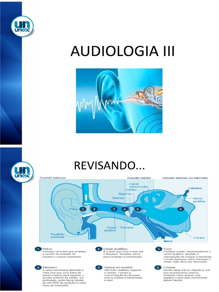 Audiologia III - Slides | PDF