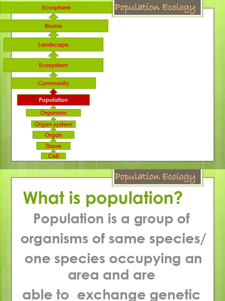 Population Ecology Notes 2 49 | PDF | Ecology | Population