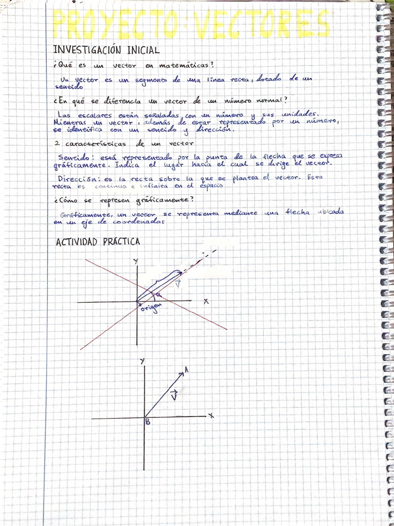 Proyecto Vectores | PDF
