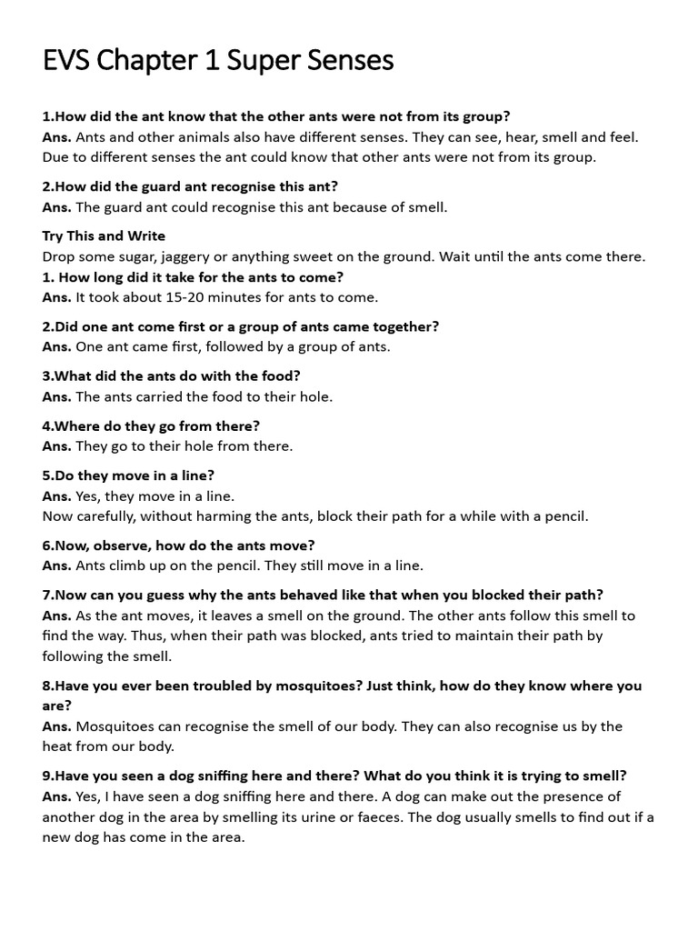 Super Senses in Animals: Class 5 EVS | PDF | Odor