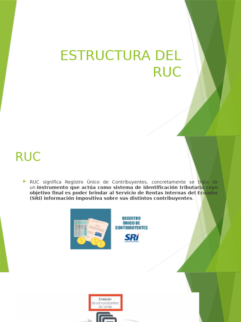 Estructura del RUC en Ecuador | PDF | Documento de identidad | Ecuador