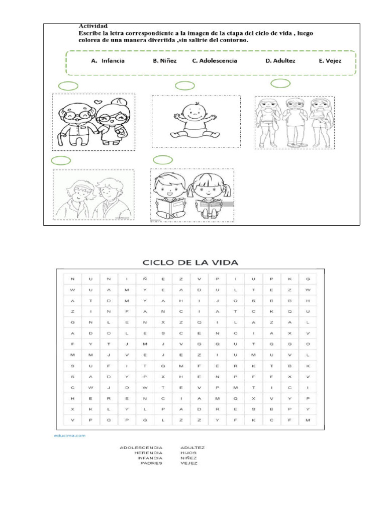 Ciclo de La Vida | PDF