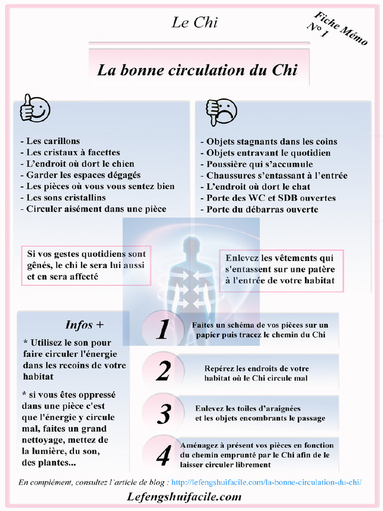 La-bonne-Circulation-Du-Chi | PDF