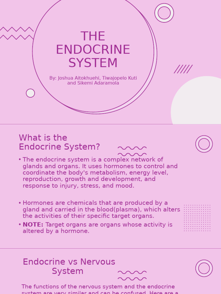 The Endocrine System | PDF | Endocrine System | Hormone