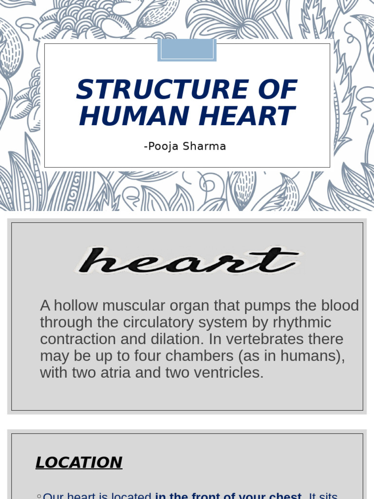 Human Heart Structure Overview | PDF