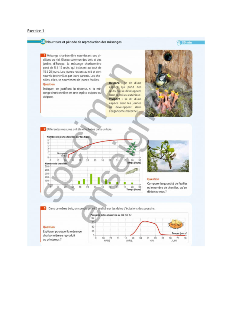 Exercice Test SVT Séance 3 | PDF