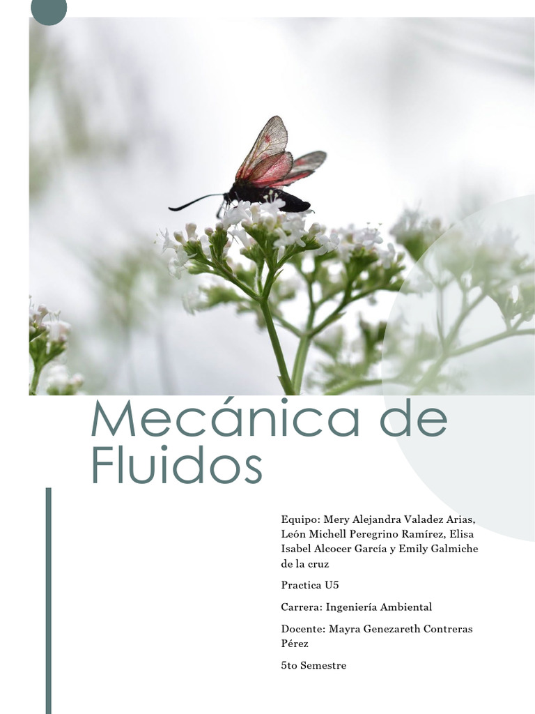 Practica u5 Mecanica de Fluidos | PDF | Agua | Física Aplicada e Interdisciplinaria