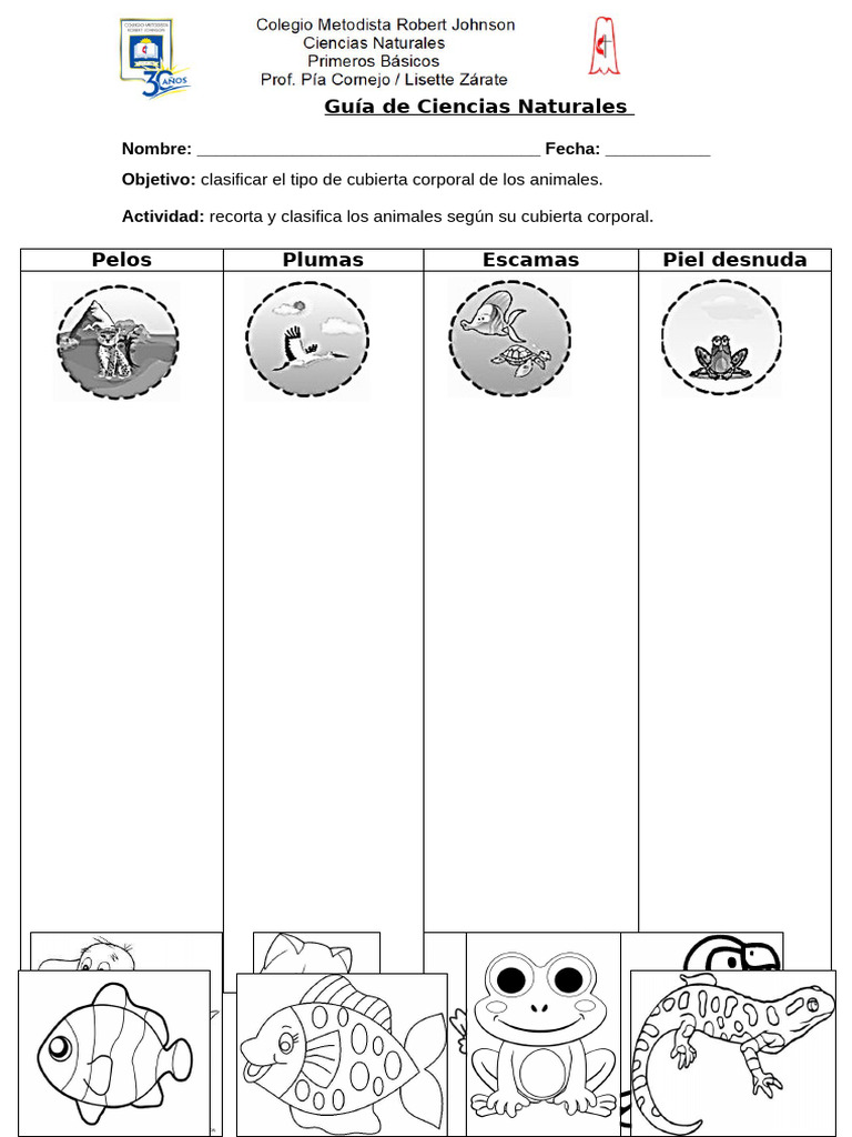 3 Guía de Clasificación de La Cubierta Corporal de Los Animales | PDF