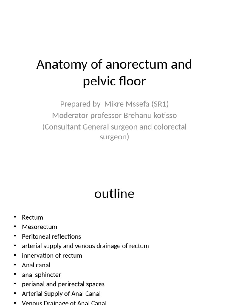 Rectum and Pelvic Floor | PDF | Rectum | Pelvis